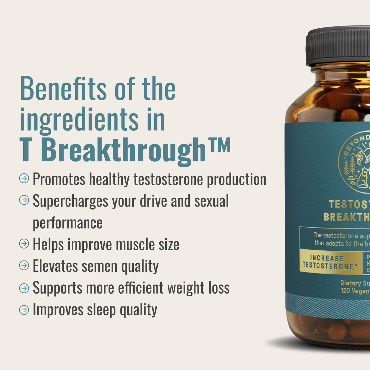 All Products – Beyond Alpha